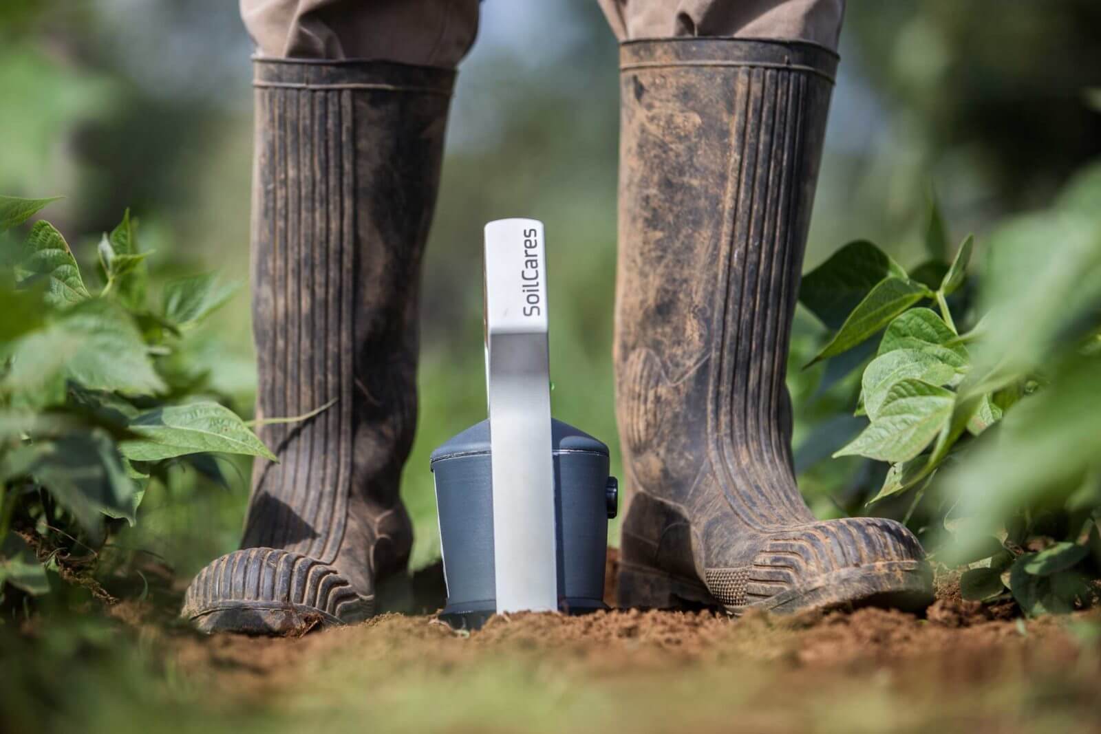 Сканер від AgroCares — ідеальне рішення для миттєвої перевірки стану р